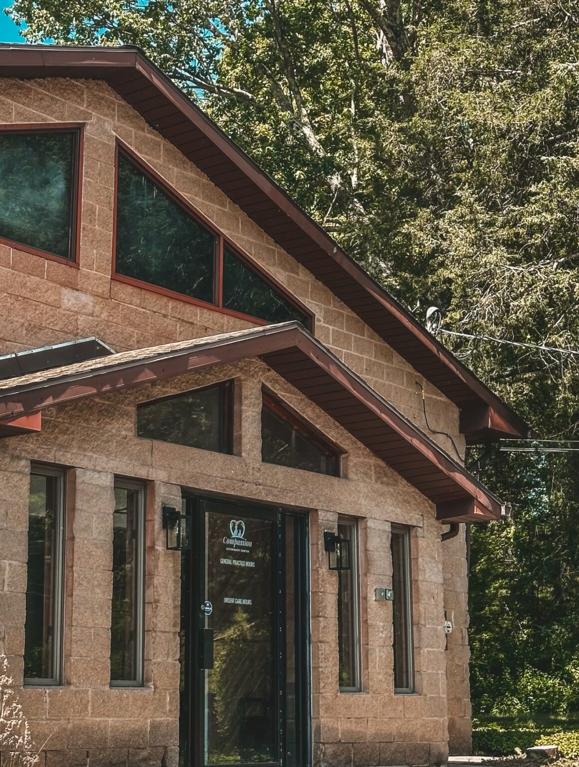 Veterinarian Kingston, Poughkeepsie | Compassion Veterinary Center