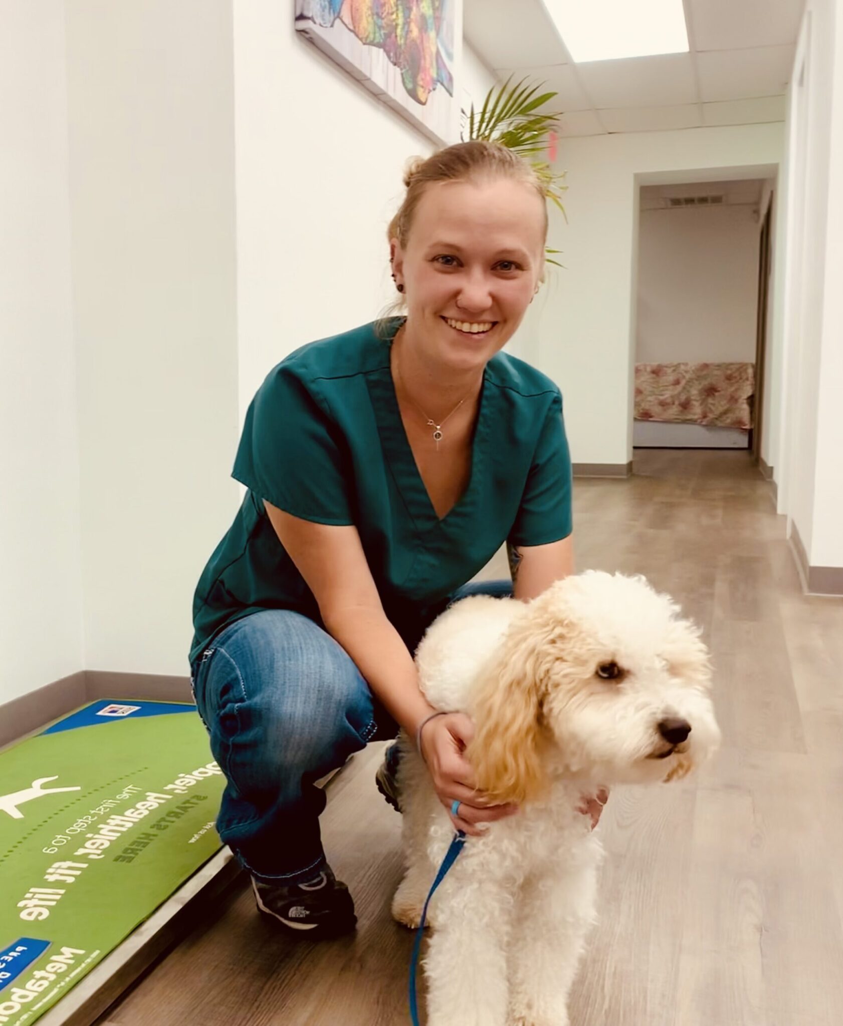 Veterinarian Kingston, Poughkeepsie | Compassion Veterinary Center