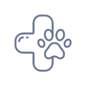 Veterinarian Kingston, Poughkeepsie | Compassion Veterinary Center