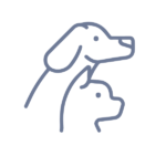 Veterinarian Kingston, Poughkeepsie | Compassion Veterinary Center