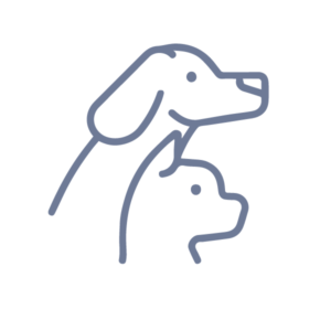 Veterinarian Kingston, Poughkeepsie | Compassion Veterinary Center